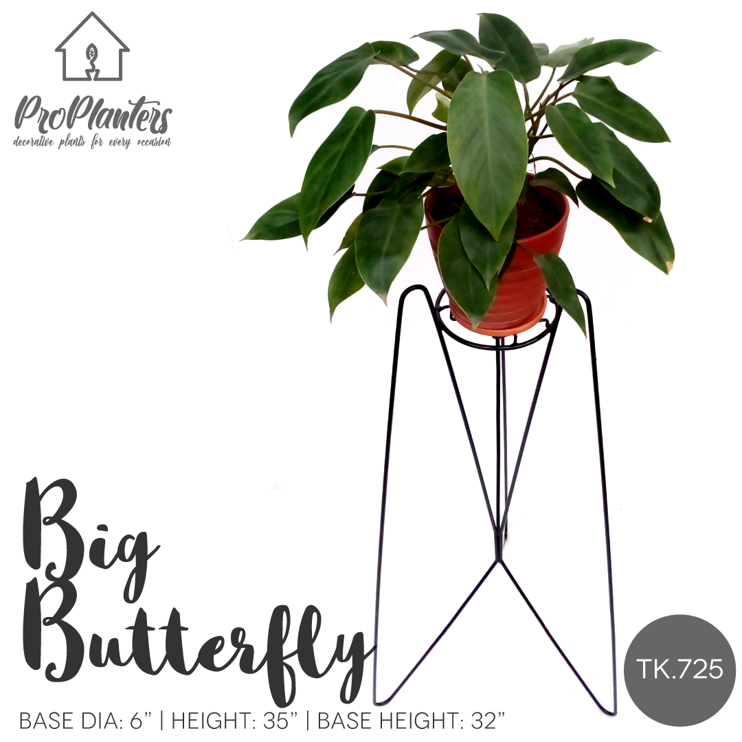 big-butterfly steel stand – ProPlanters: Online Plants Nursery