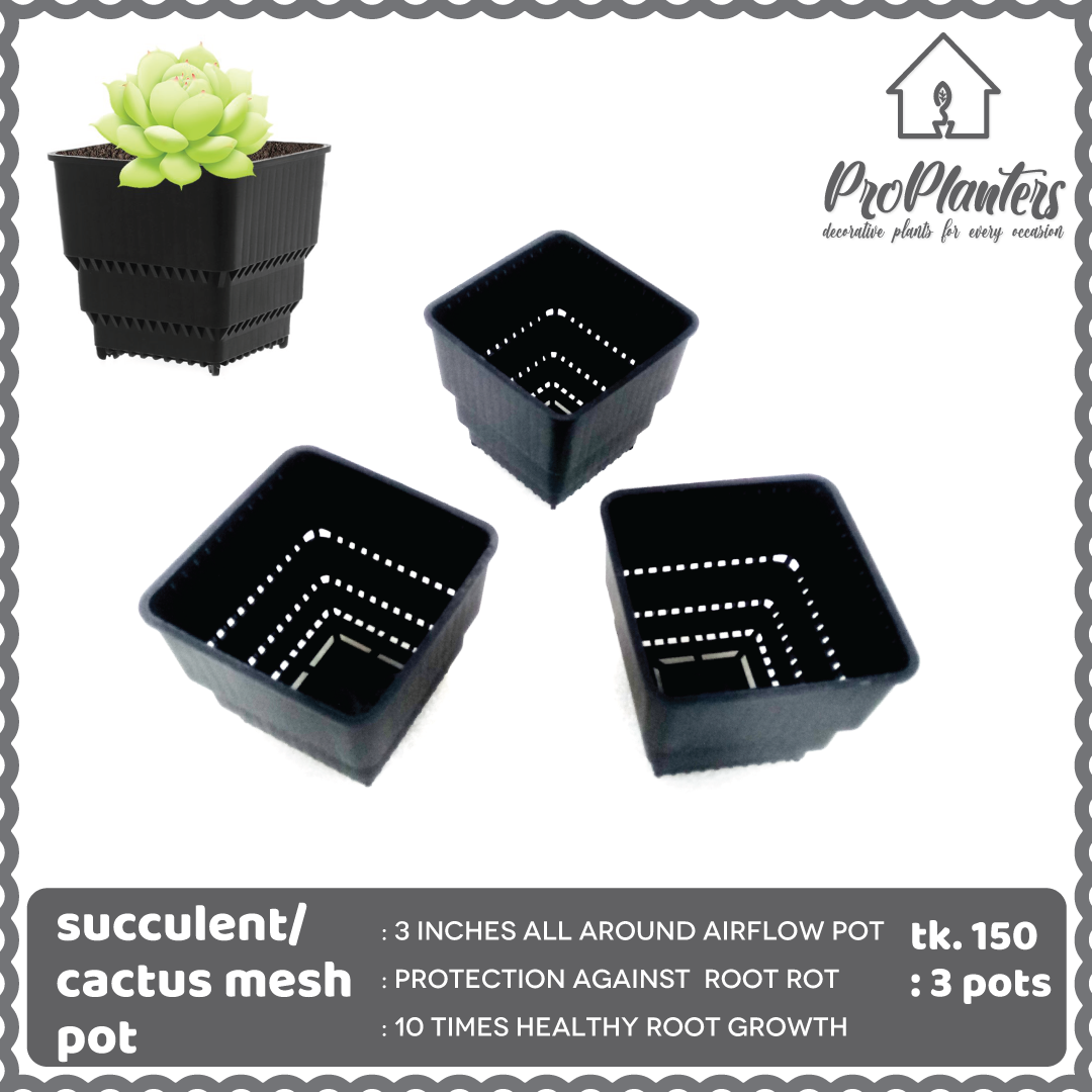mesh-pot – ProPlanters: Online Plants Nursery